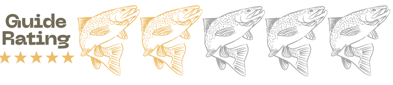 Winter Fly Fishing on the Blue River: Tactics for Tailwater Success 2.19.25